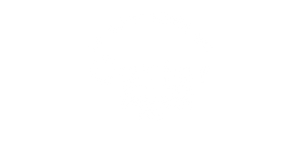 Top Trepine - Noir | The Bradery